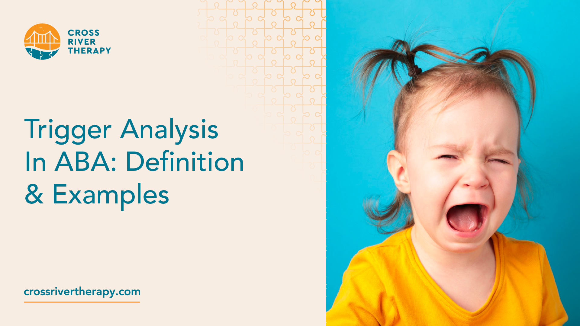 Trigger Analysis In ABA: Definition & Examples